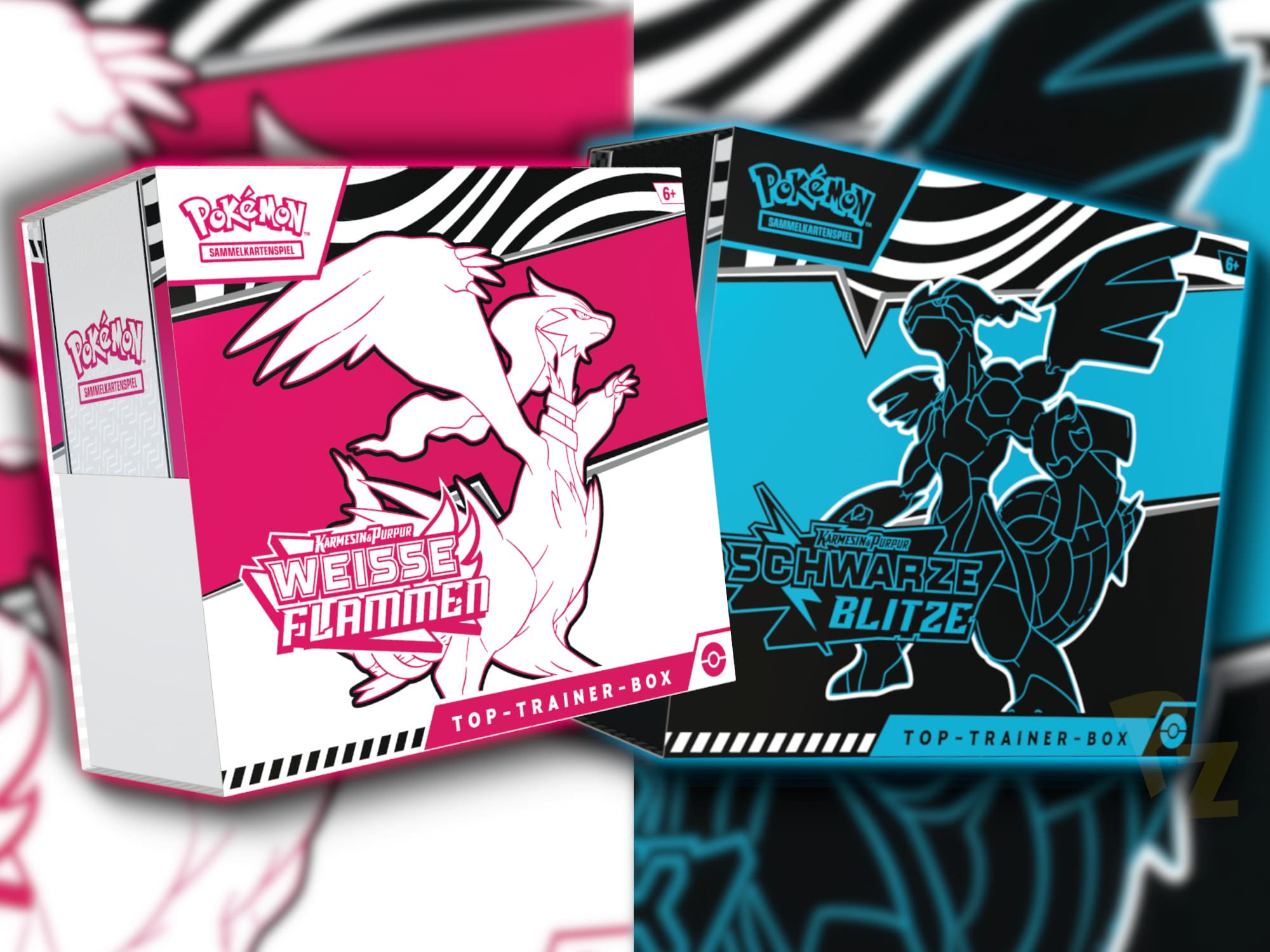 Pokémon "Schwarze Blitze & Weiße Flammen" kaufen - Produktübersicht ...