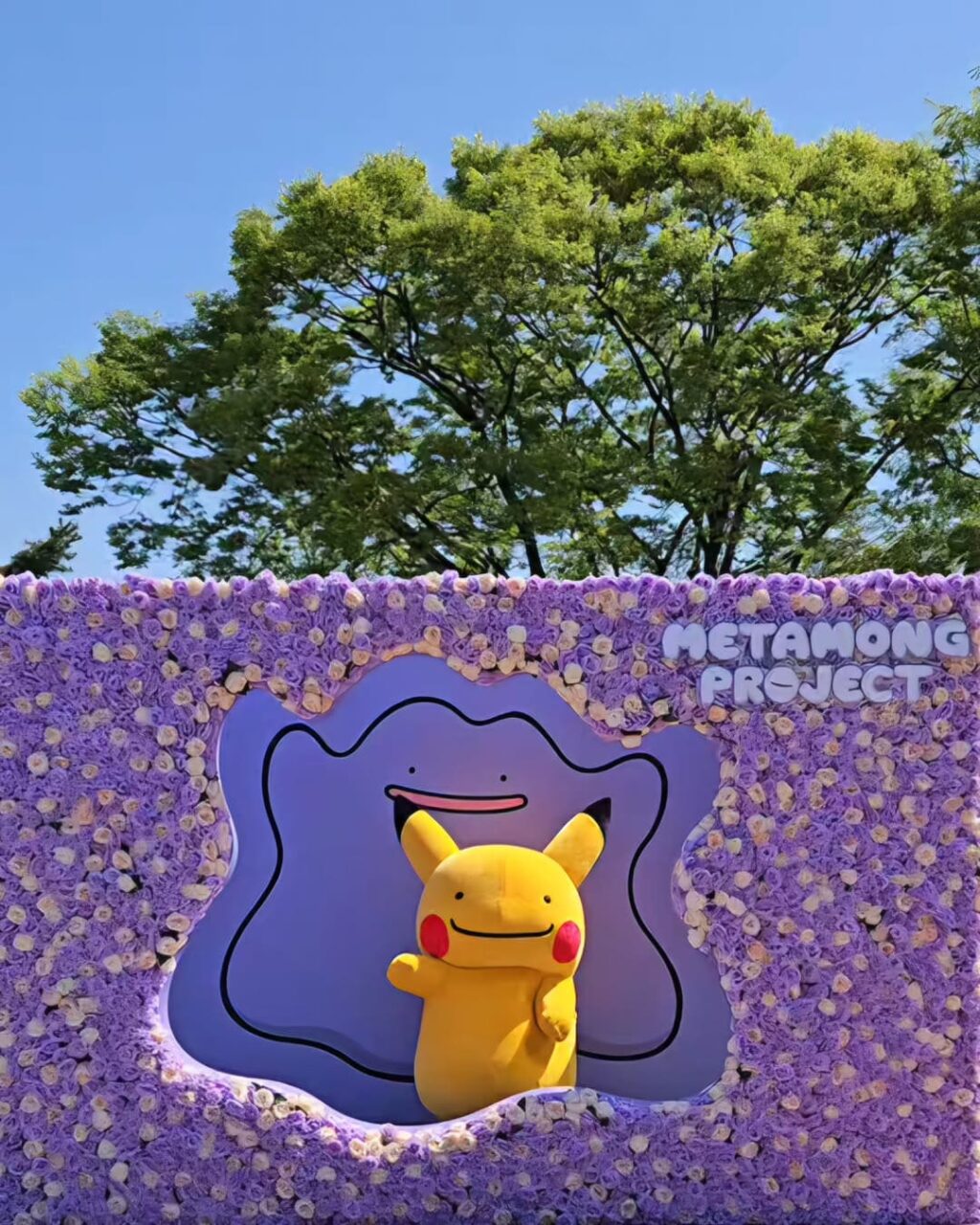 Exklusive Promo-Pokémon-Karte von Ditto enthüllt! | PokeZentrum