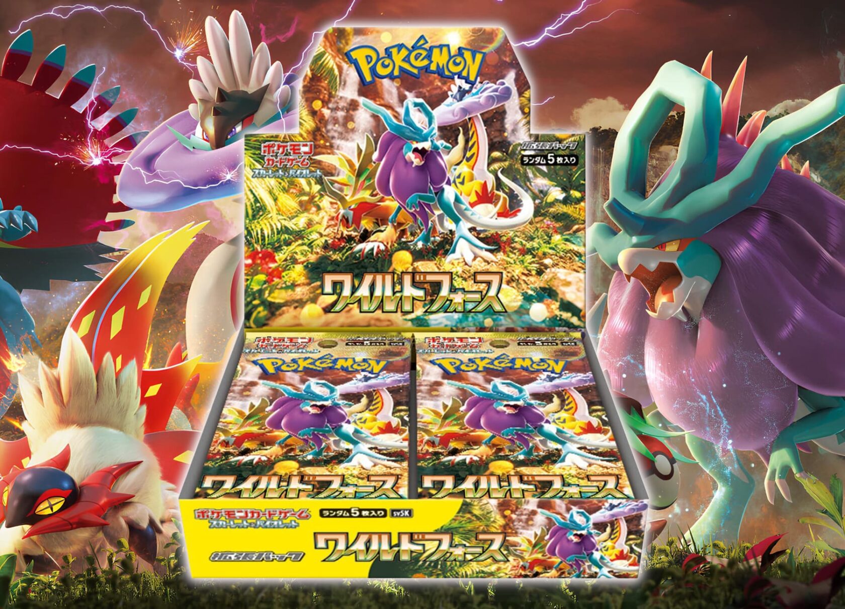 Japanische Pokémon-Displays kaufen - Alle Boxen im Überblick!